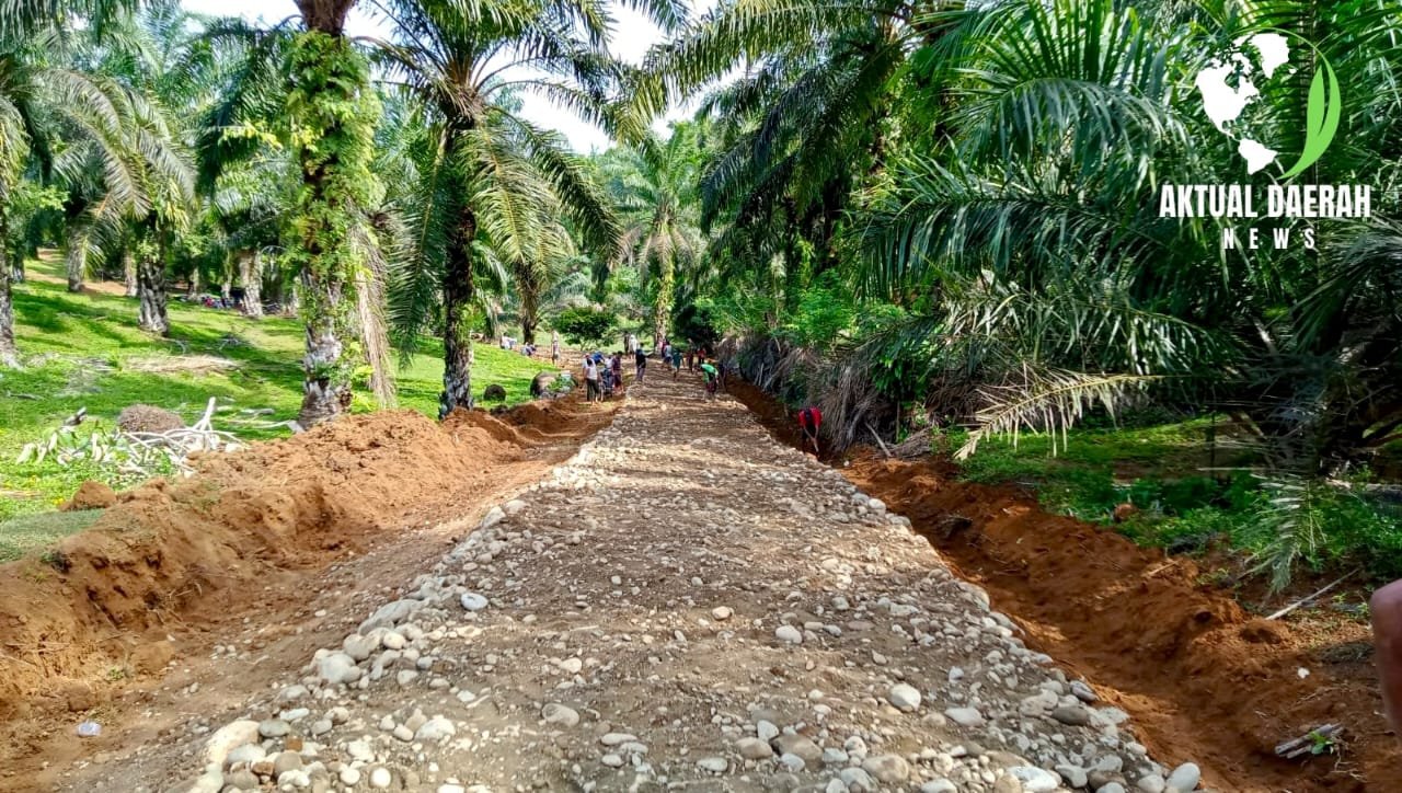 Pemdes Selagan Jaya Bangun Infrastruktur Jalan dan TPT di Tahun 2025 ...